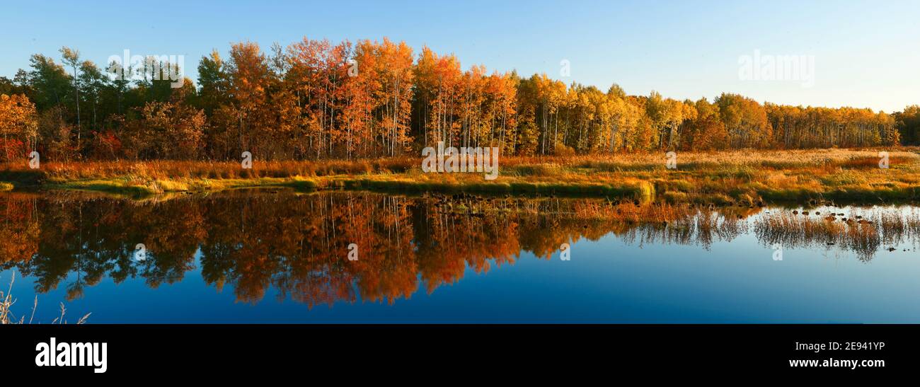 Manchuria province hi-res stock photography and images - Alamy