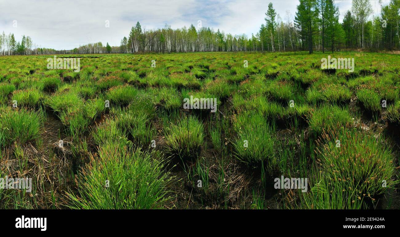 Manchuria county hi-res stock photography and images - Alamy