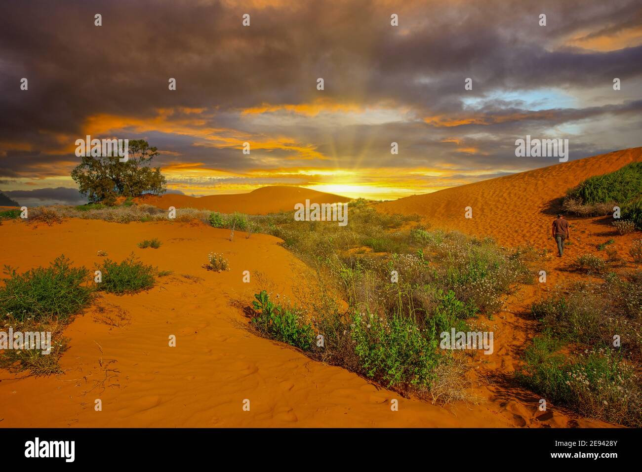 Old renmark road hi-res stock photography and images - Alamy