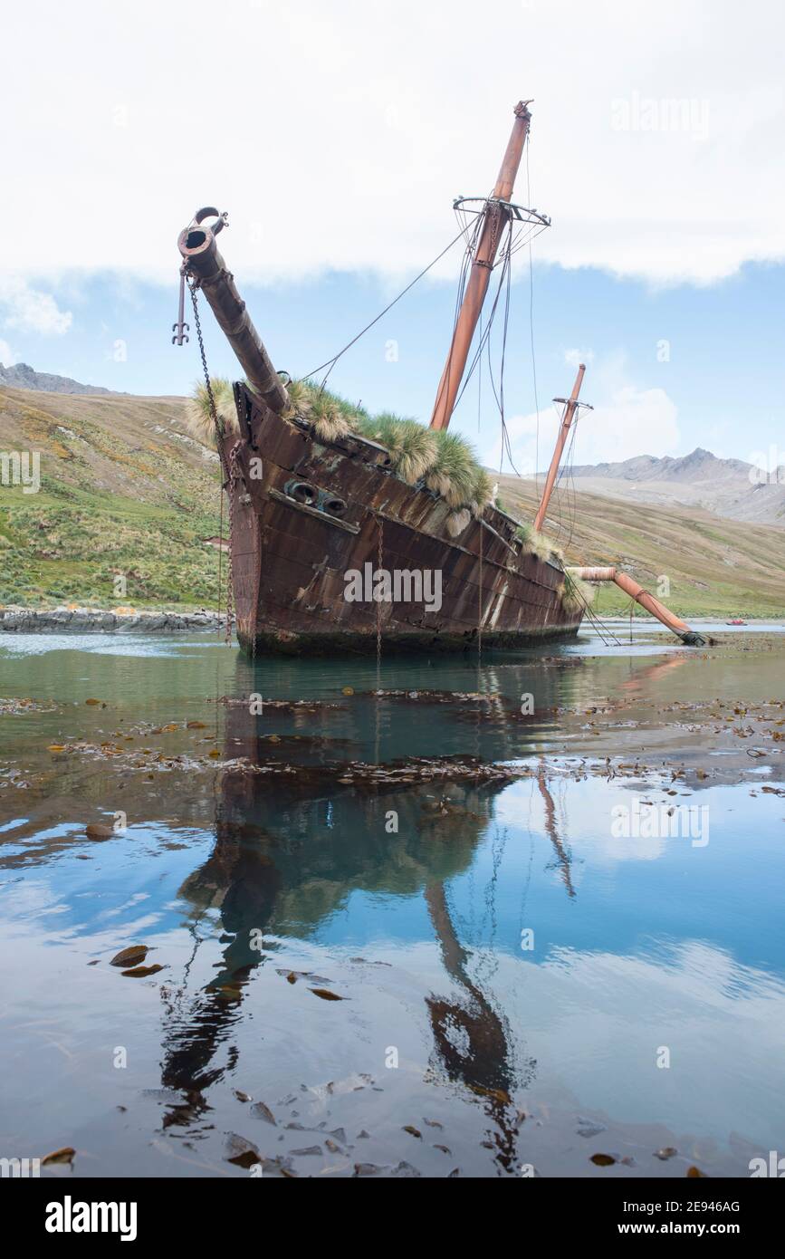 Bayard hi-res stock photography and images - Alamy