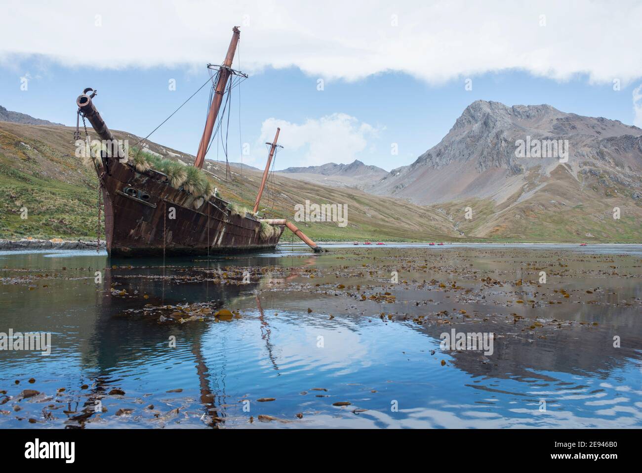 shipwreck of the ship Bayard in Ocean Harbour South georogia. coal ...