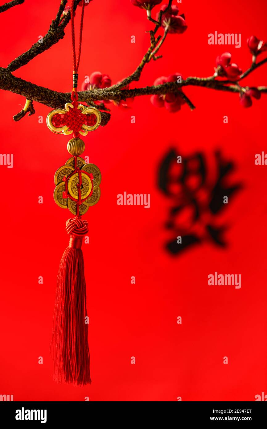 Selective focus of a Chinese talisman hanging on cherry branches ...
