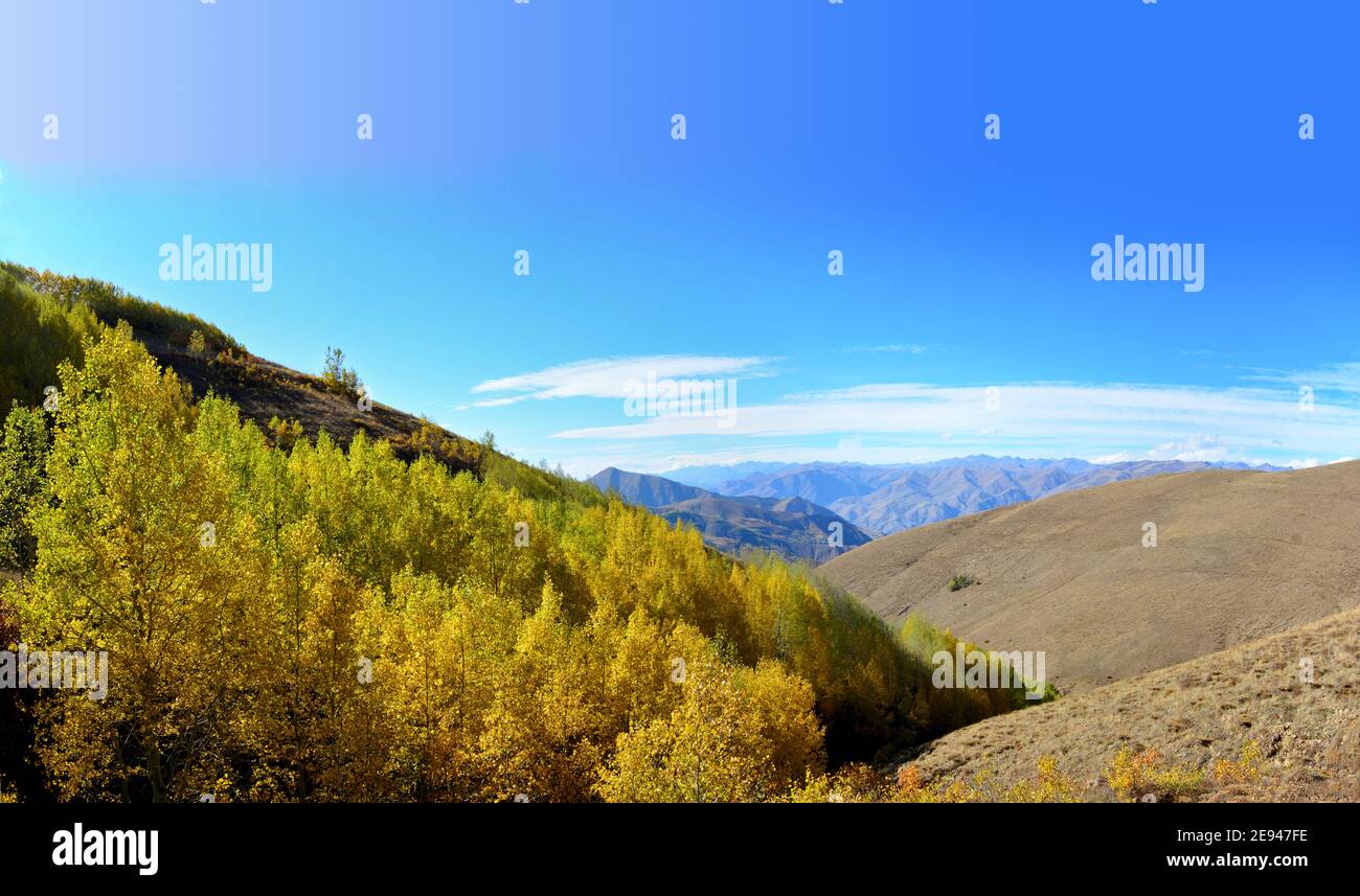 autumn sky view beautiful photo Stock Photo - Alamy