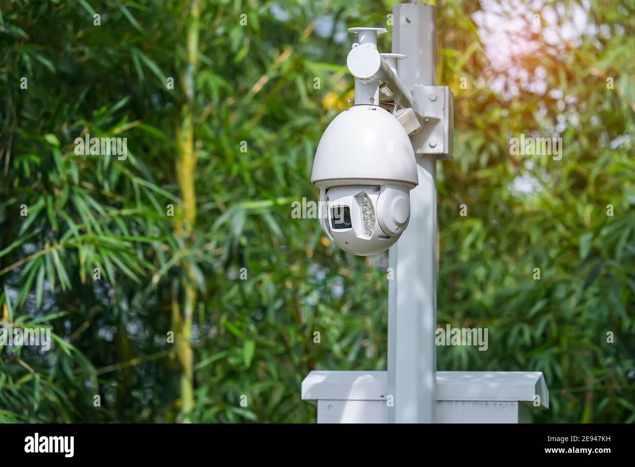 security camera record video with green background Stock Photo - Alamy