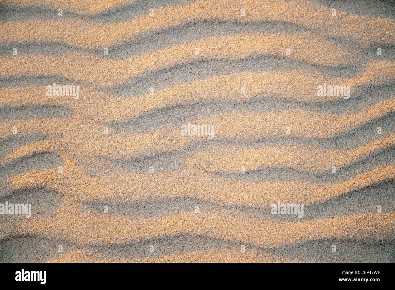 Abstract view of natural sand dune formation at the beach. Curly sand ...