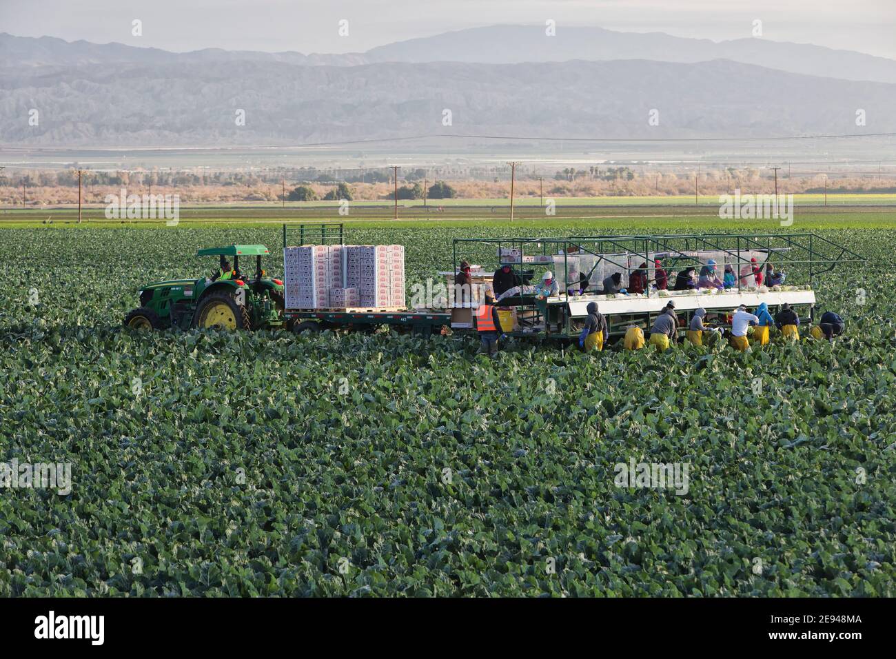 Female farm workers hi-res stock photography and images - Alamy