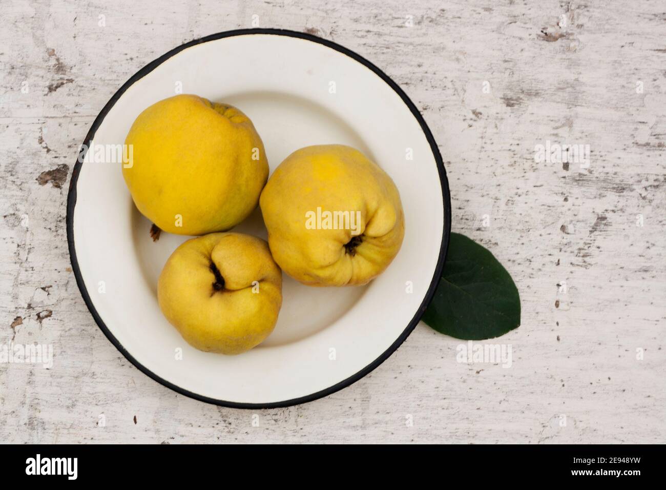 Ripe yellow quince fruits on the plate on white rustic looks wooden ...