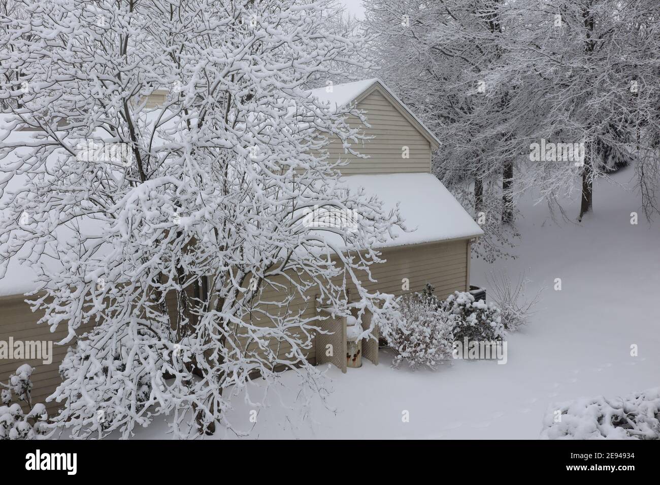 Snow falls in a quiet suburban neighborhood in a lush forested area in ...