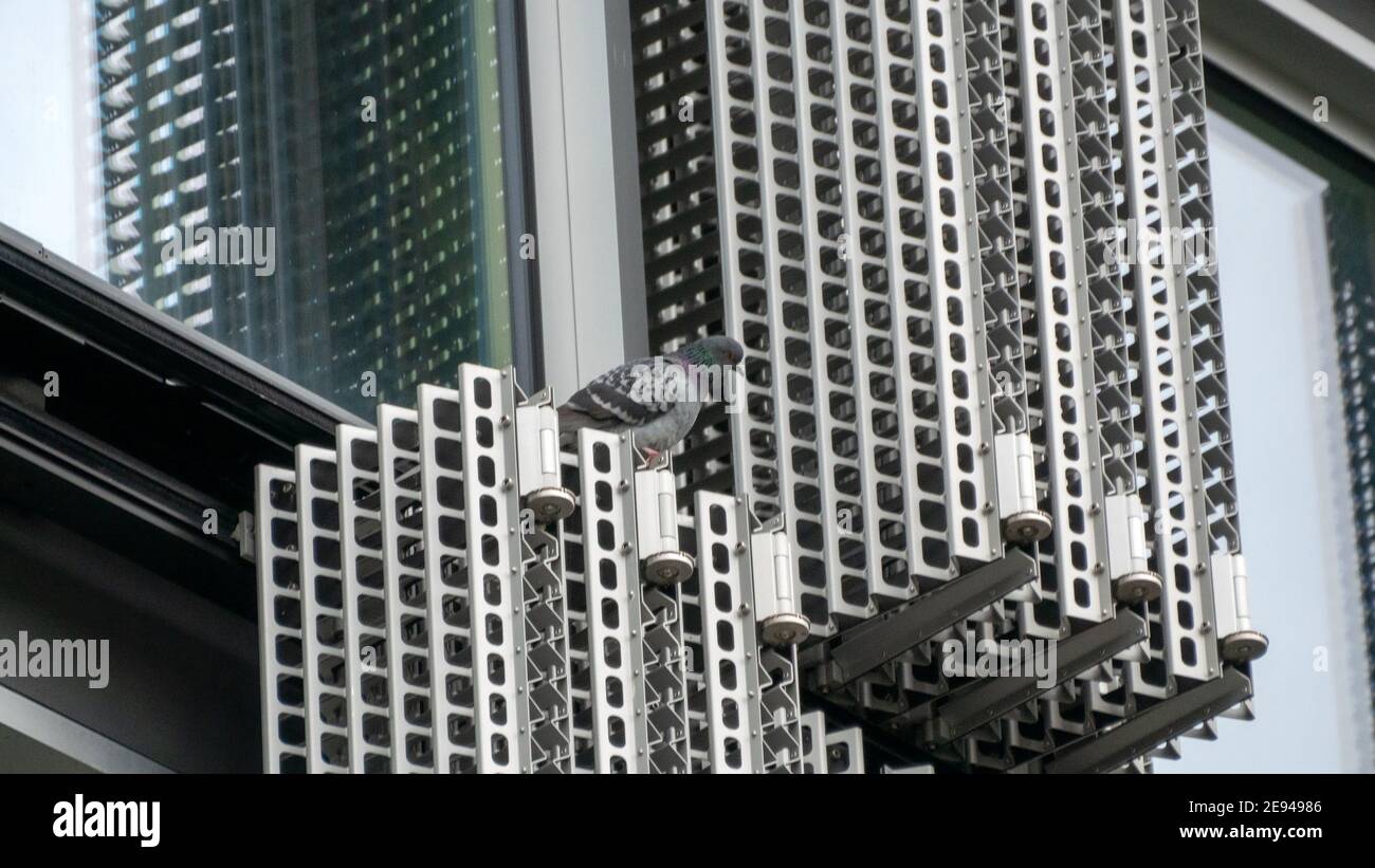 High rise building daylight structure hi-res stock photography and ...