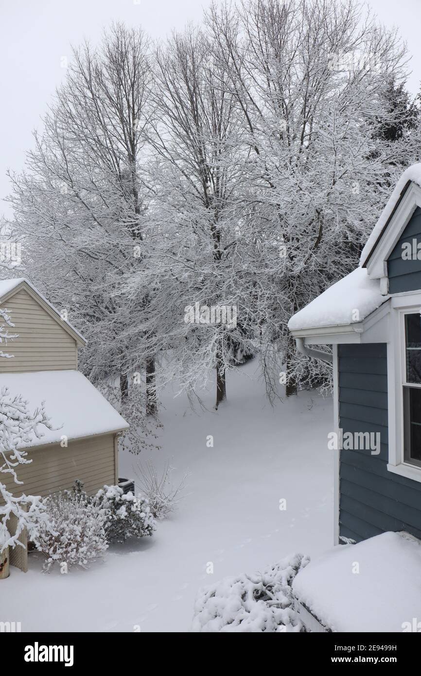 Snow falls in a quiet suburban neighborhood in a lush forested area in ...