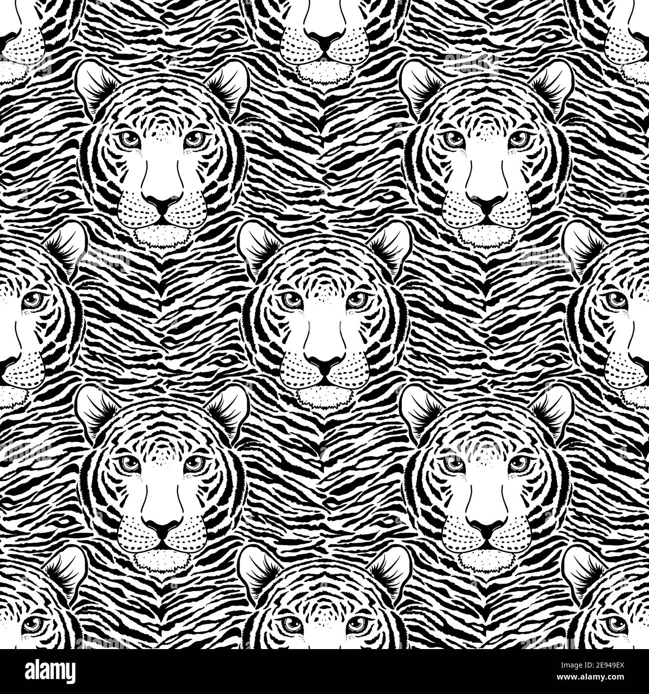 Tiger stripe pattern Black and White Stock Photos & Images - Alamy