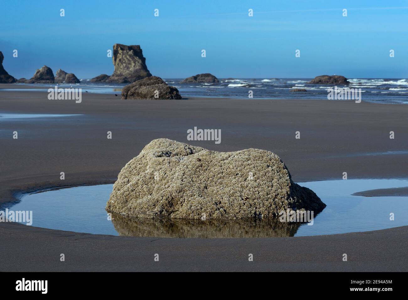 The scenic Pacific Northwest coastline near Bandon, Oregon, with ...