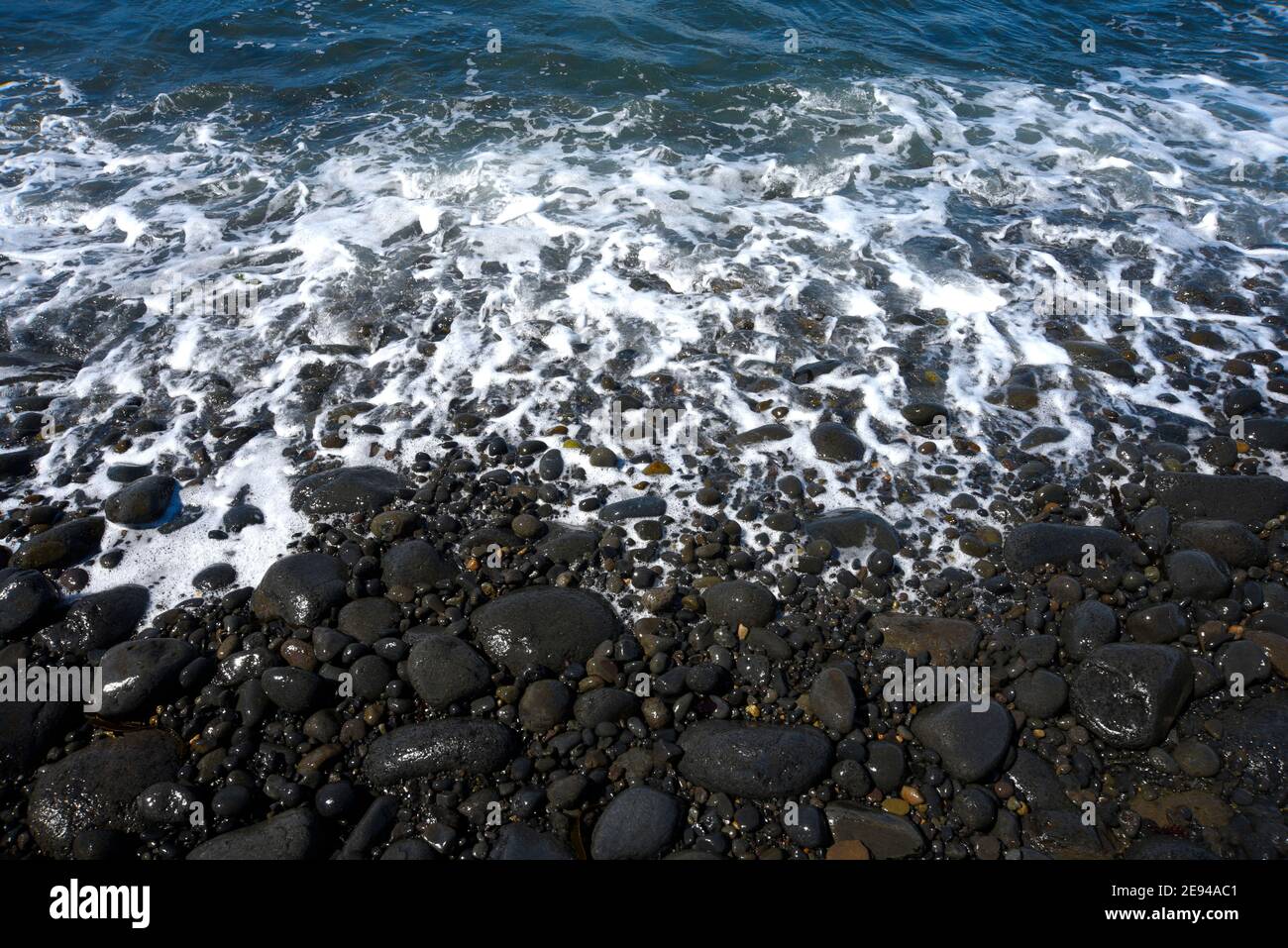 A rocky coastline near Newport, Oregon, with smooth black rocks eroded ...