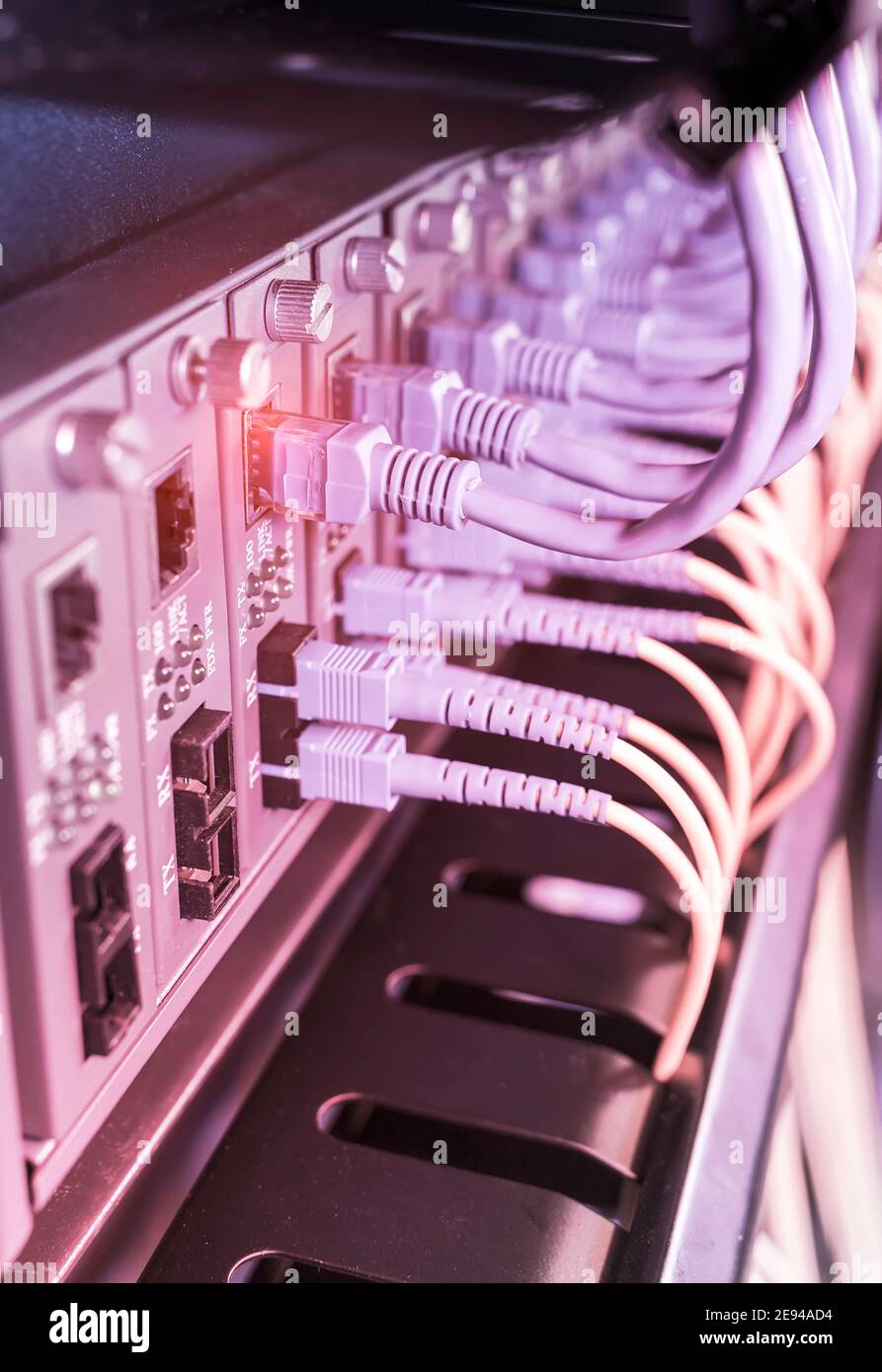 Fiber Optical cables connected to an optic ports and Network cables ...