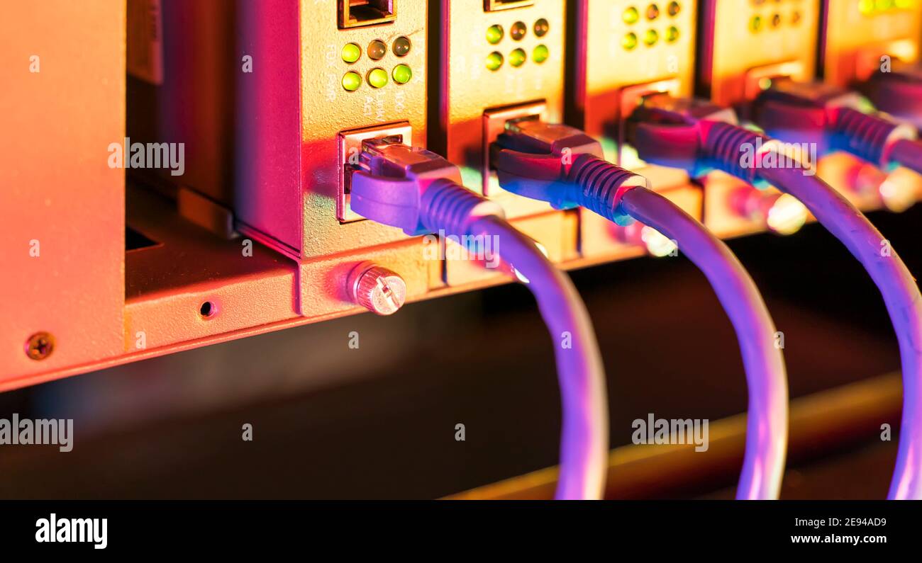 network cable connecting on network core switch close up Stock Photo ...