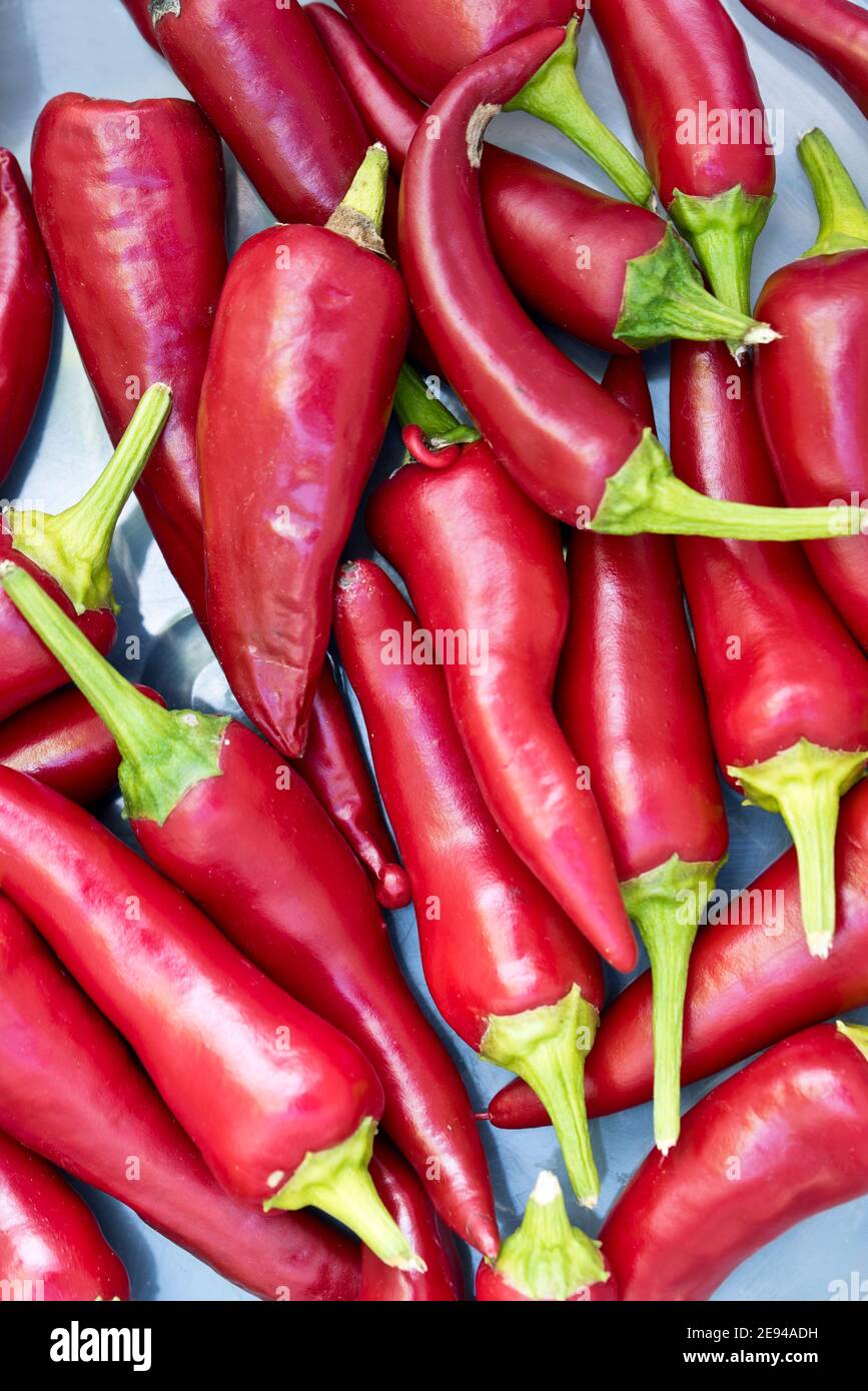 Cayenne chilli peppers Stock Photo - Alamy
