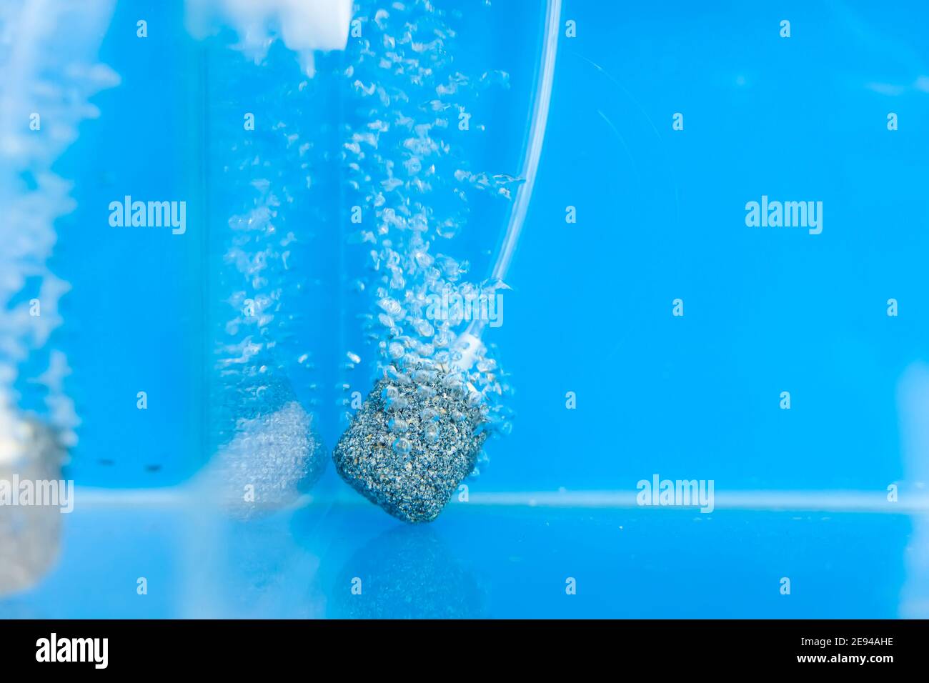 oxygen ball for fish tank Stock Photo - Alamy