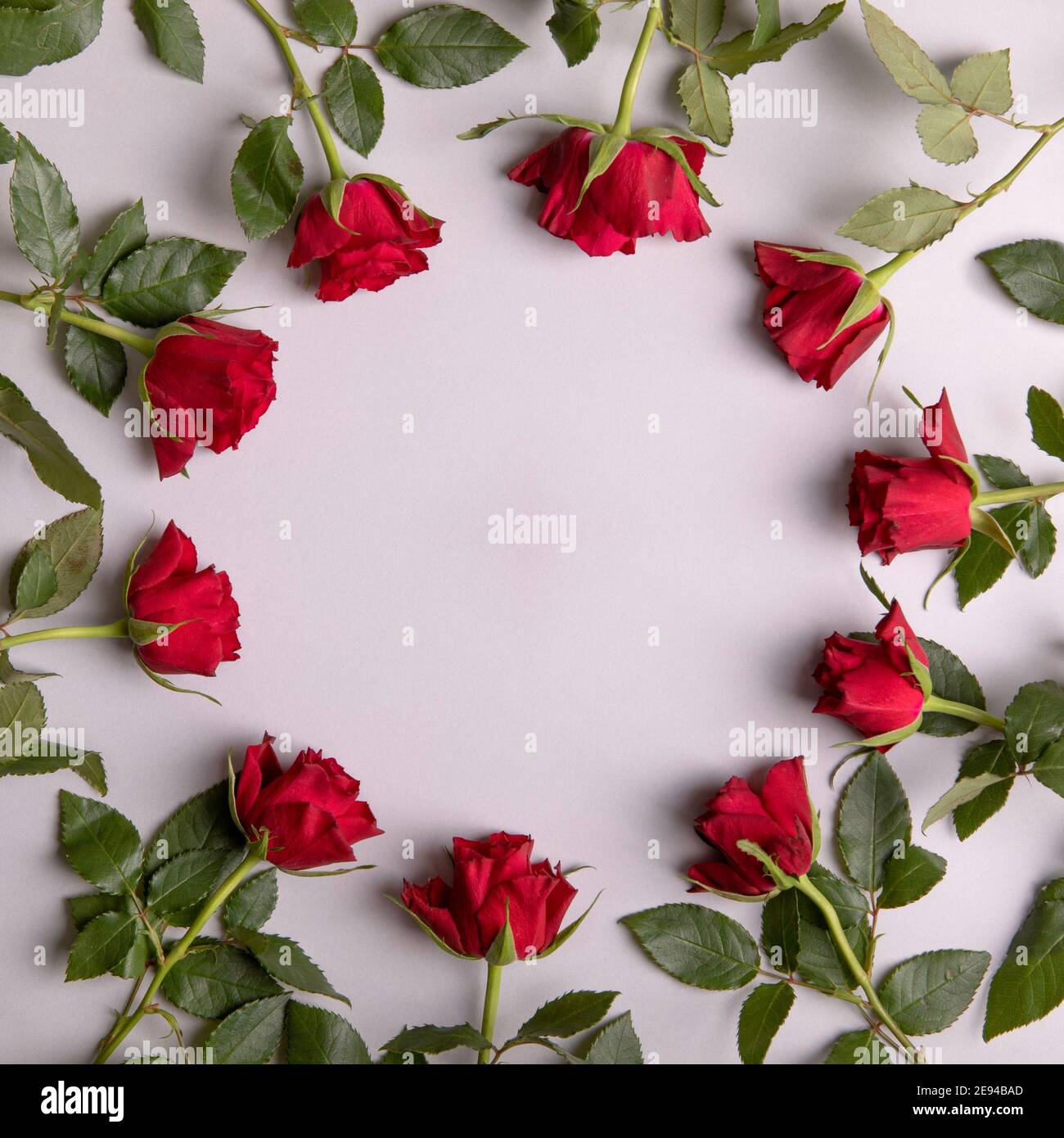 Perfection circle hi-res stock photography and images - Alamy