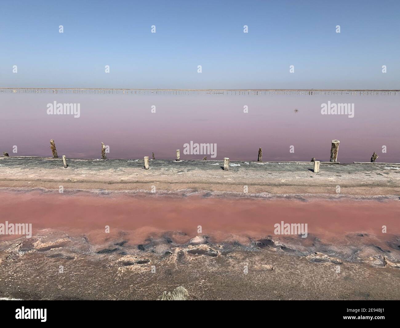 A beautiful salt lake with pink water. Beautiful view of pink lake on ...