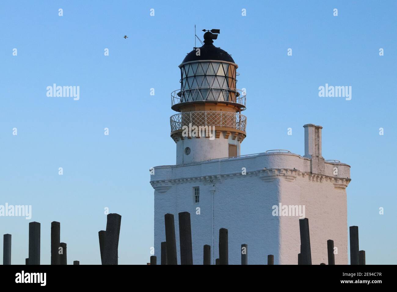 Vector black white lighthouse hi-res stock photography and images - Alamy