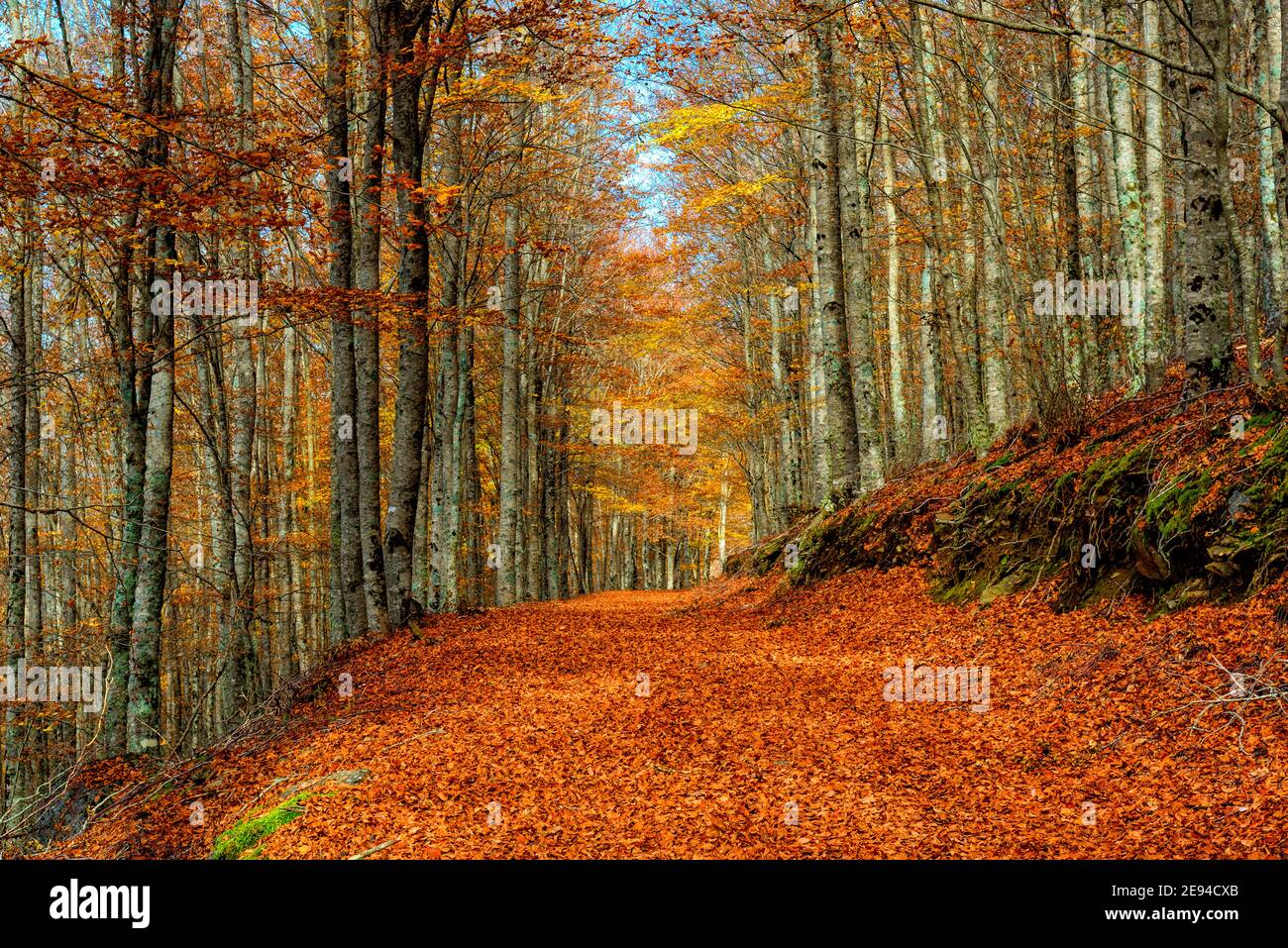 Atmos hi-res stock photography and images - Alamy