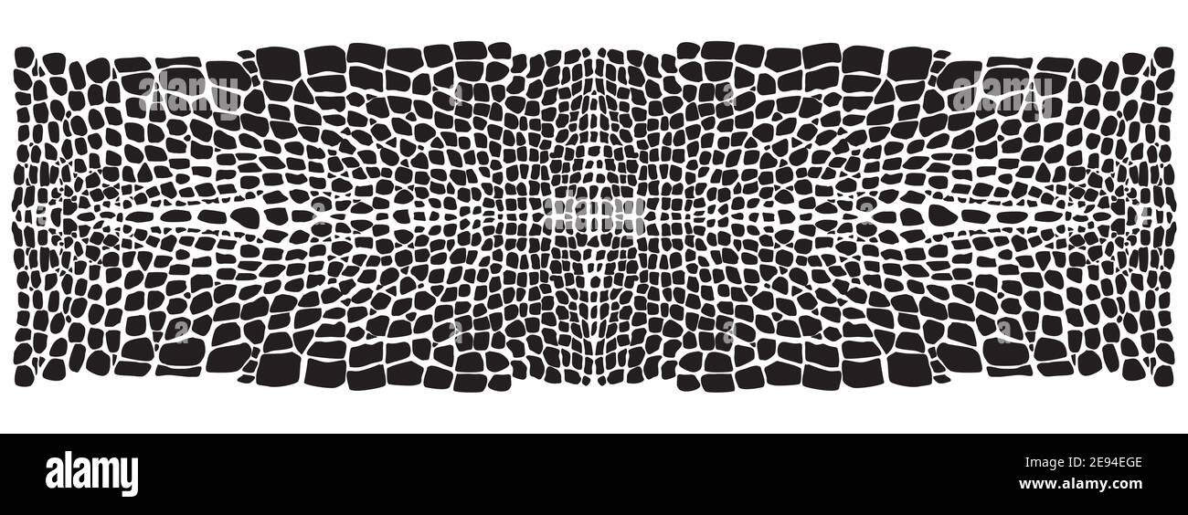 Lizard Skin Texture Vector