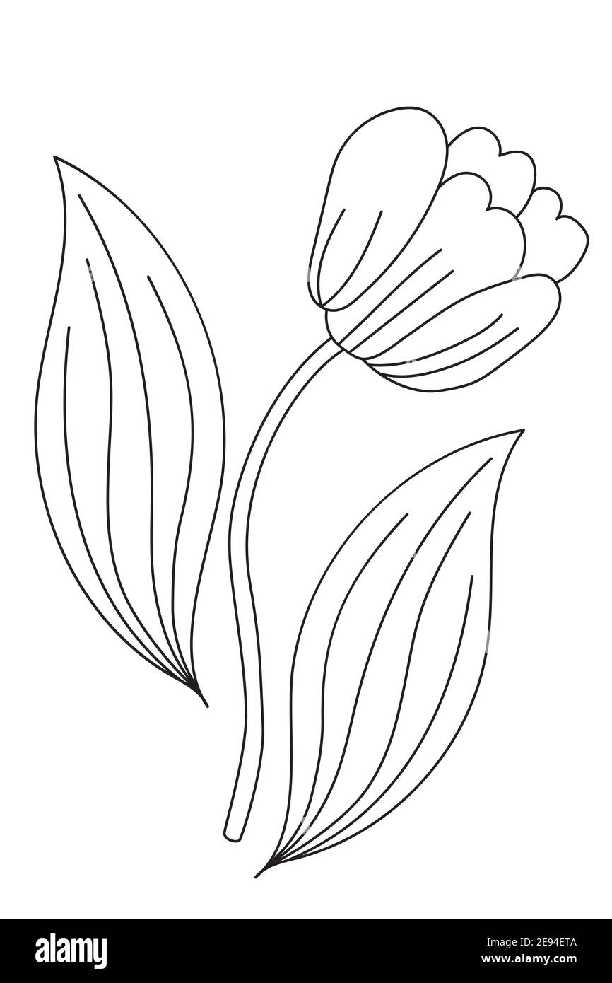Tulip Outline Printable