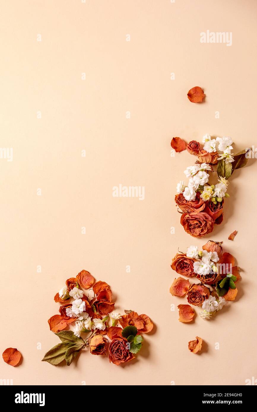 Creative layout with flowers Stock Photo - Alamy