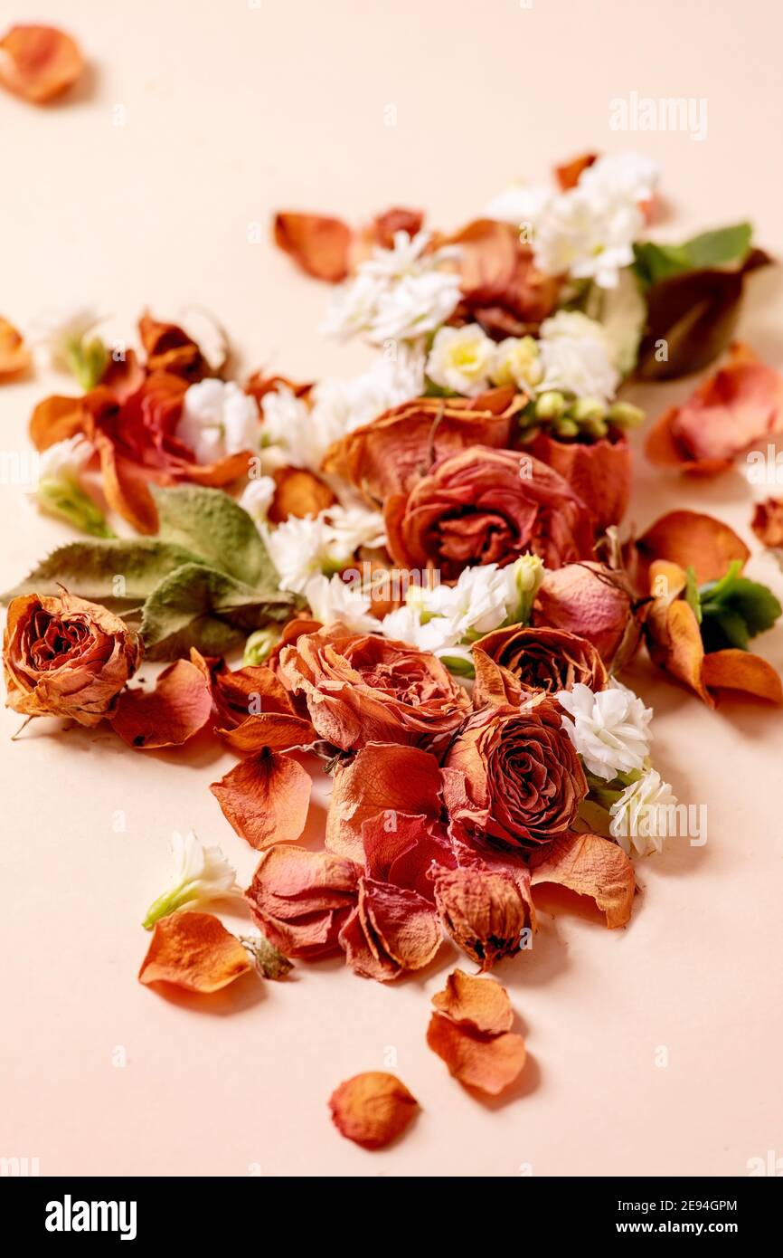 Creative layout with flowers Stock Photo - Alamy