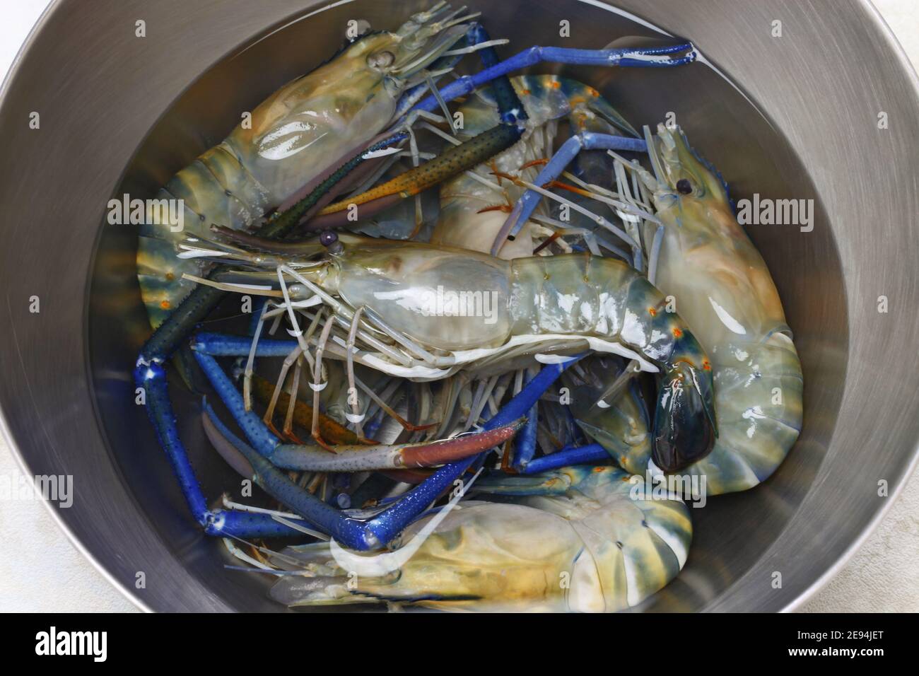 Freshwater prawns hi-res stock photography and images - Alamy