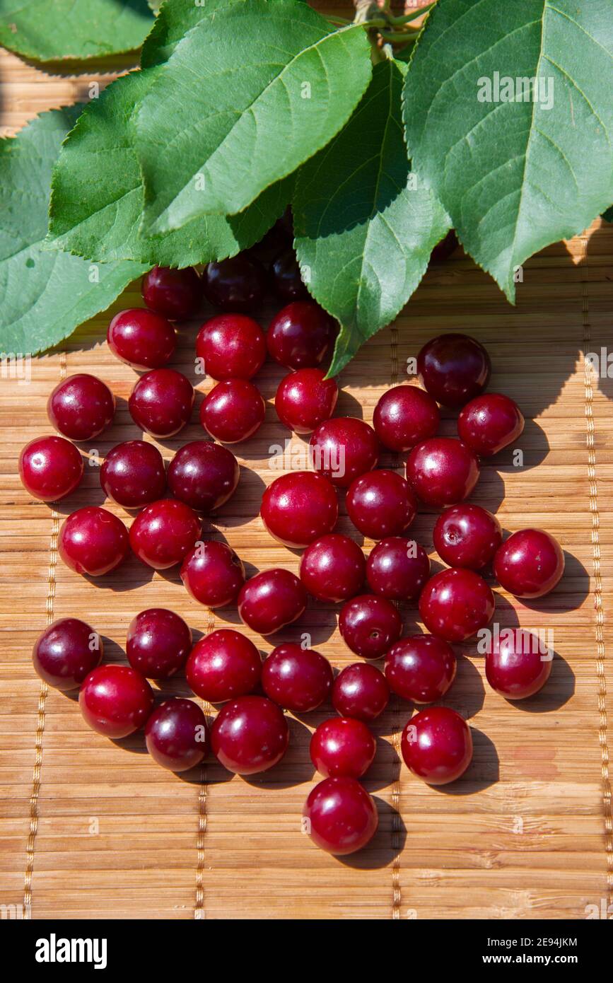 Berry shape hi-res stock photography and images - Alamy
