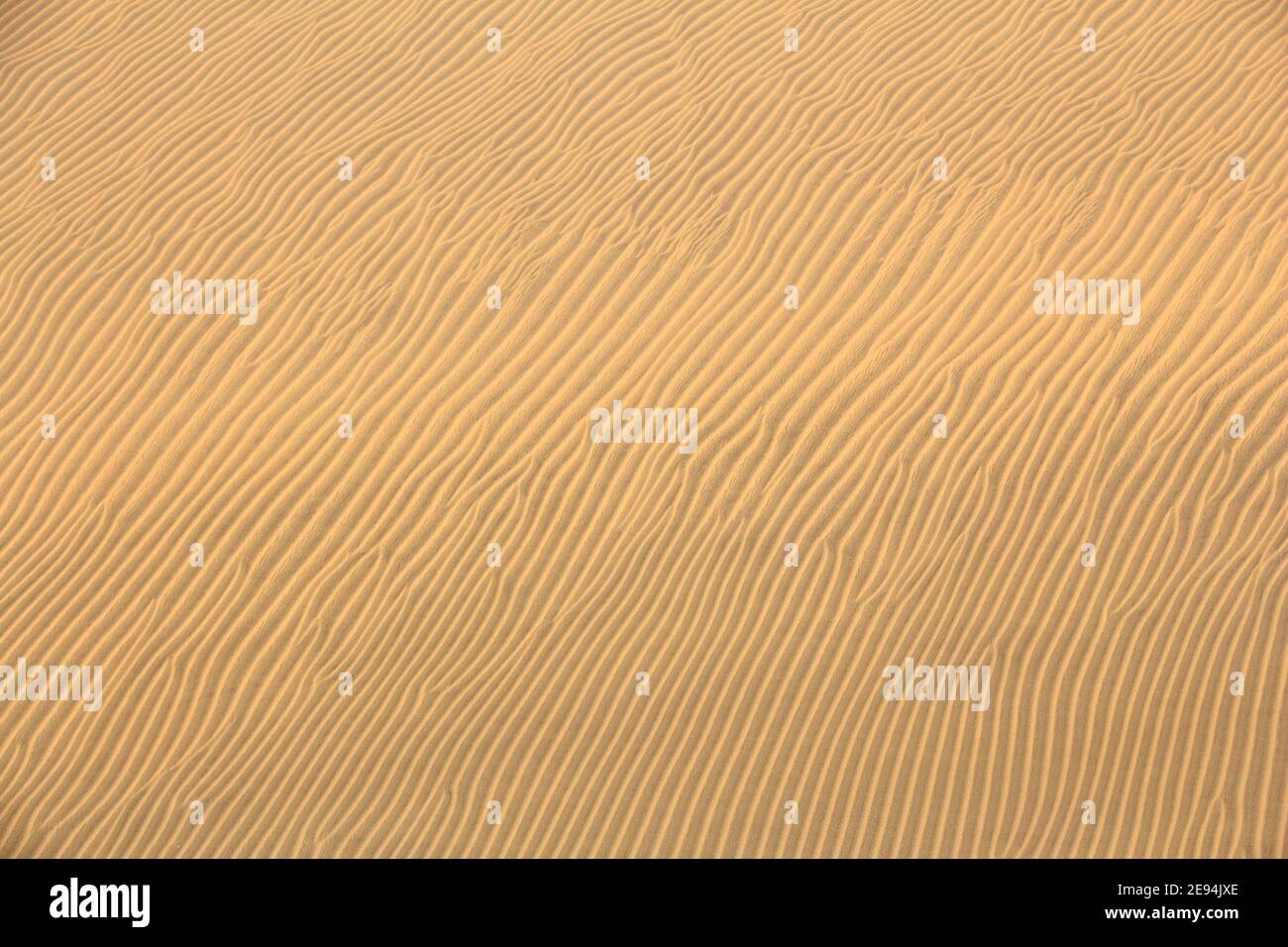 Sand desert ripples. Wind ripples on yellow sand Stock Photo - Alamy