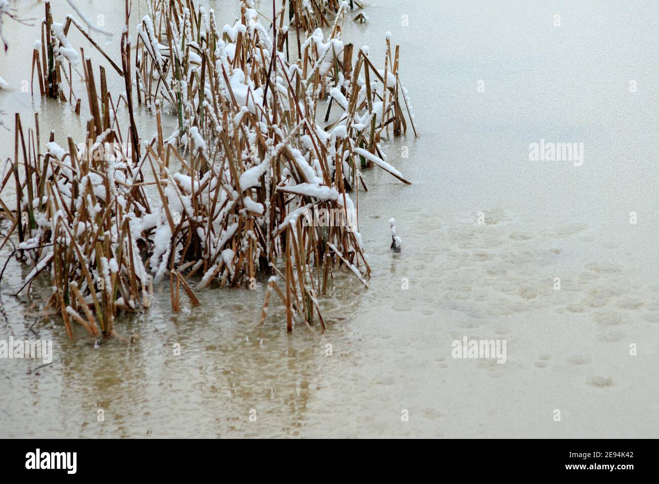Ice covering pond showing texture of ice Stock Photo - Alamy