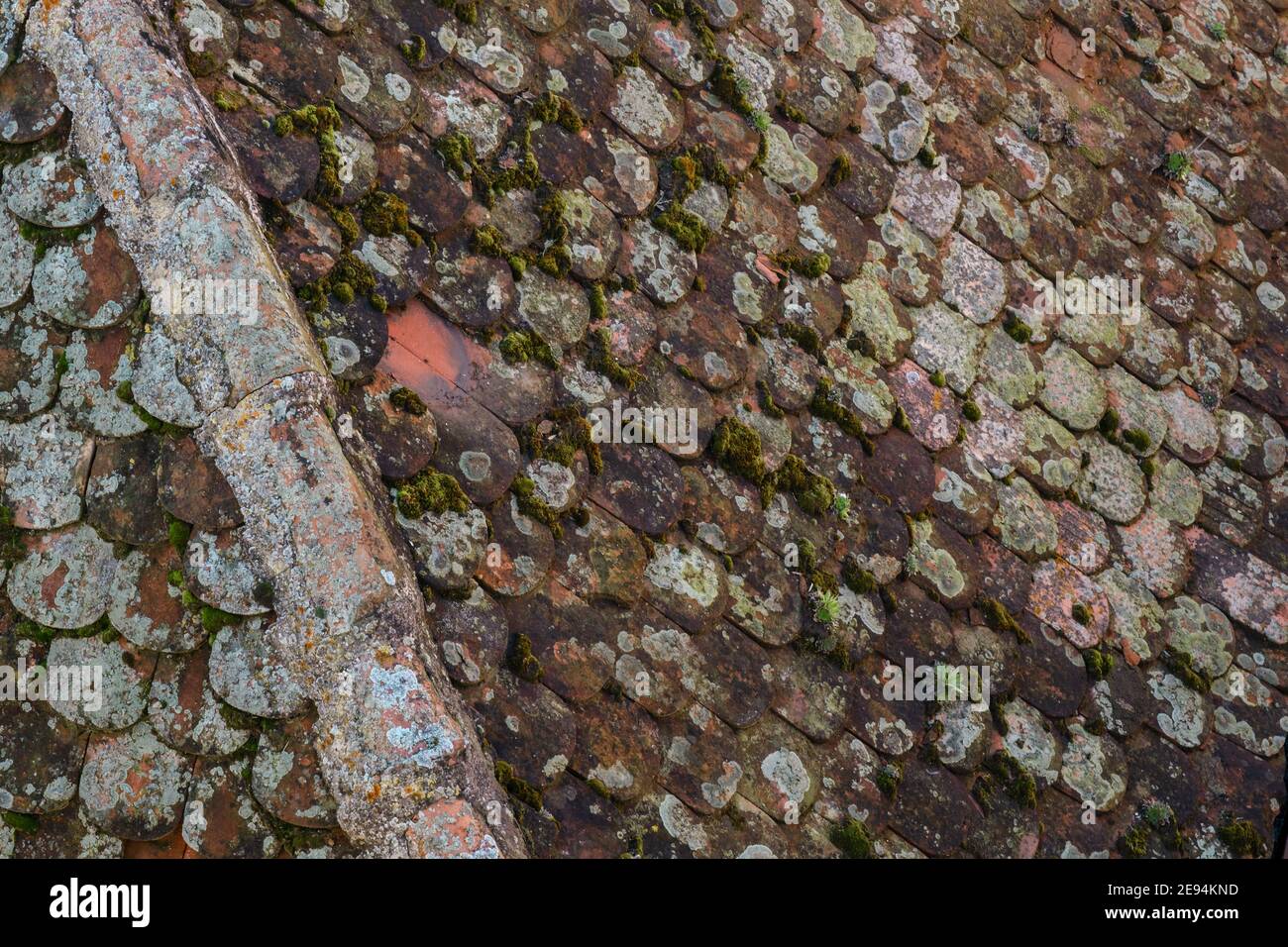 Romanian old roof tiles texture with lichens due to humid climate Stock ...