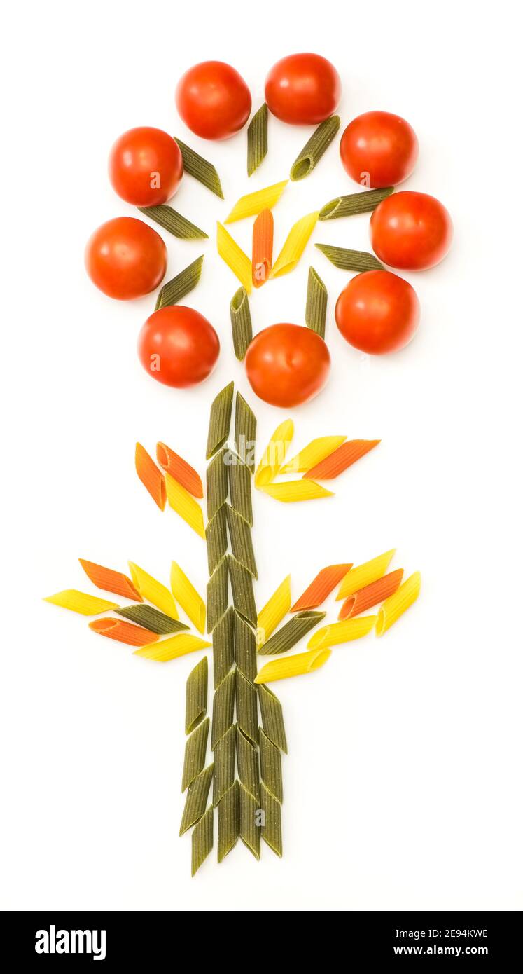 Tri-color penne pasta and tomatoes. Tomato, spinach and wheat pastas in ...