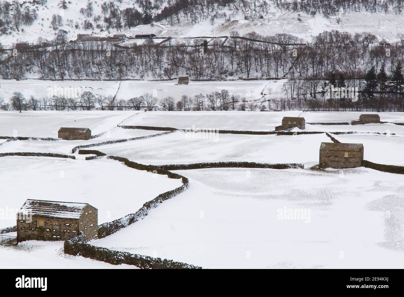 A view of the hay meadows and field barns of Gunnerside, Swaledale ...