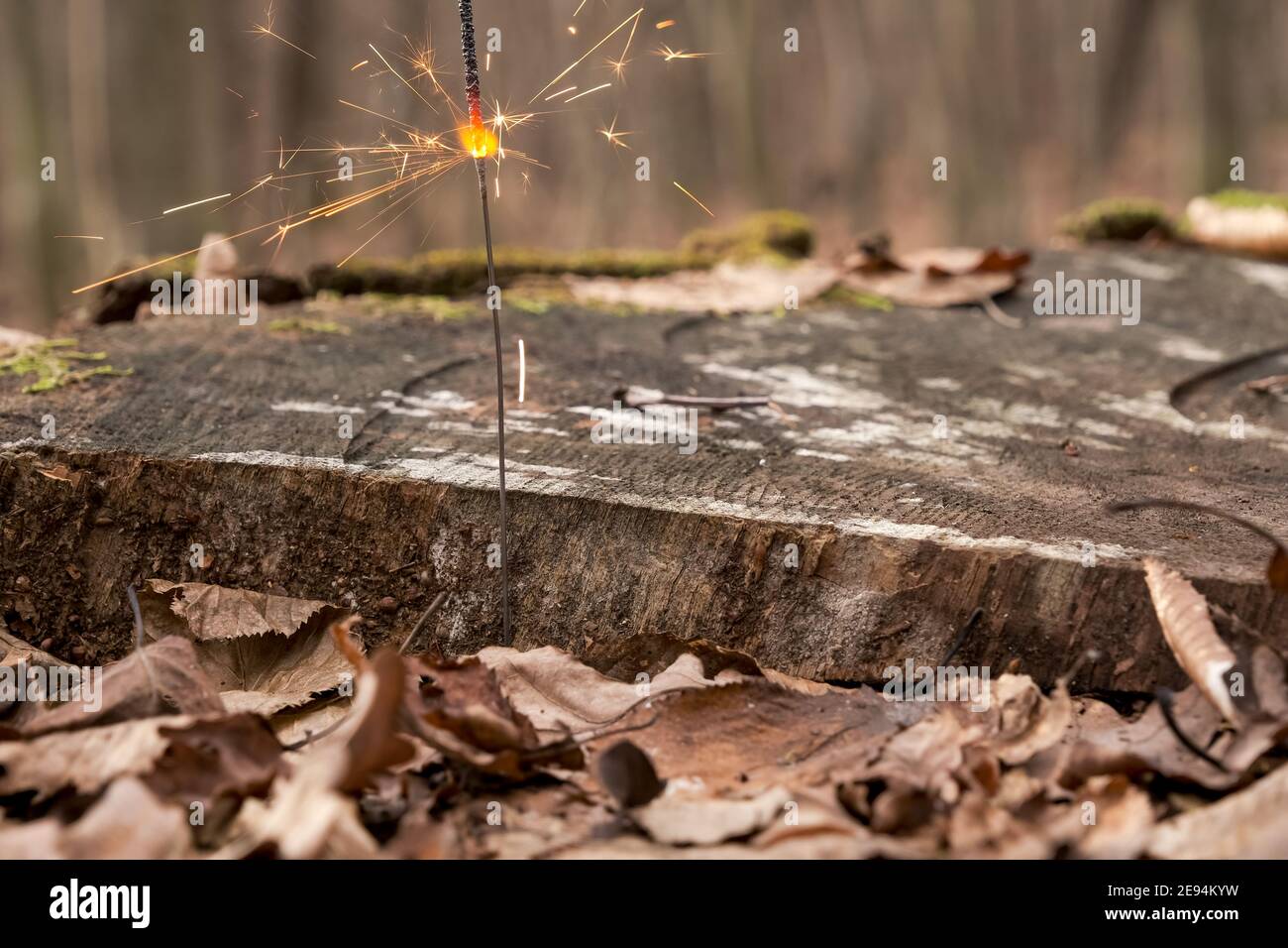 burning bengal candle in the forest Stock Photo - Alamy
