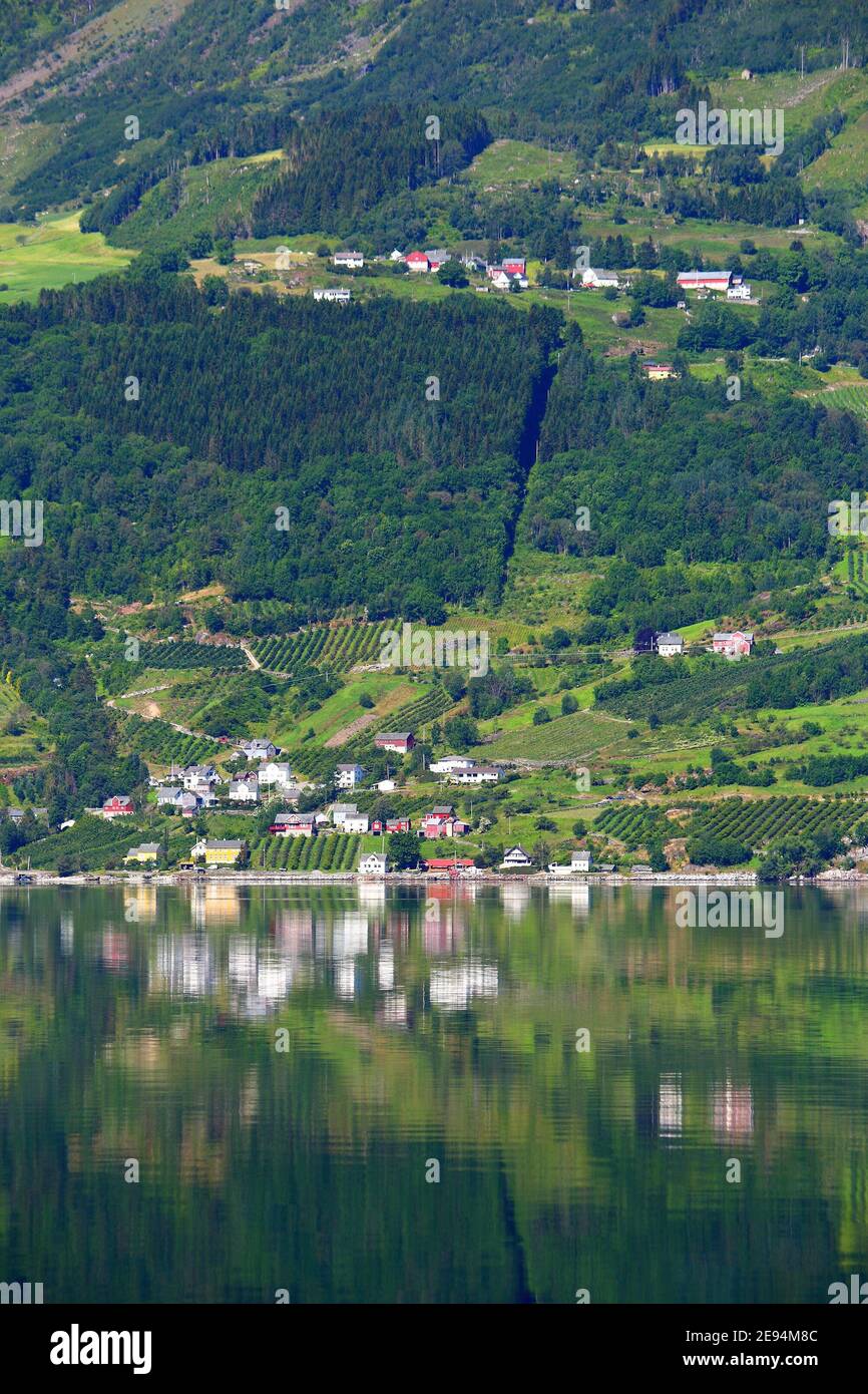 Hardangerfjord apple cider hi-res stock photography and images - Alamy