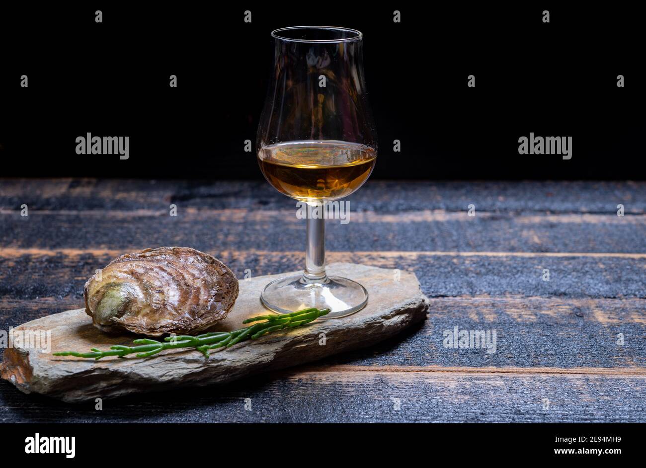 Native oyster ostrea edulis hi-res stock photography and images - Alamy