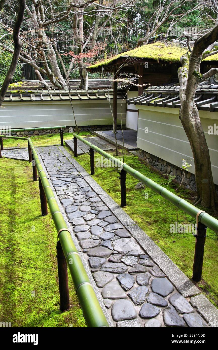 Japanese moss garden in Kyoto, Japan. Kyoto Kita Ward landmark ...
