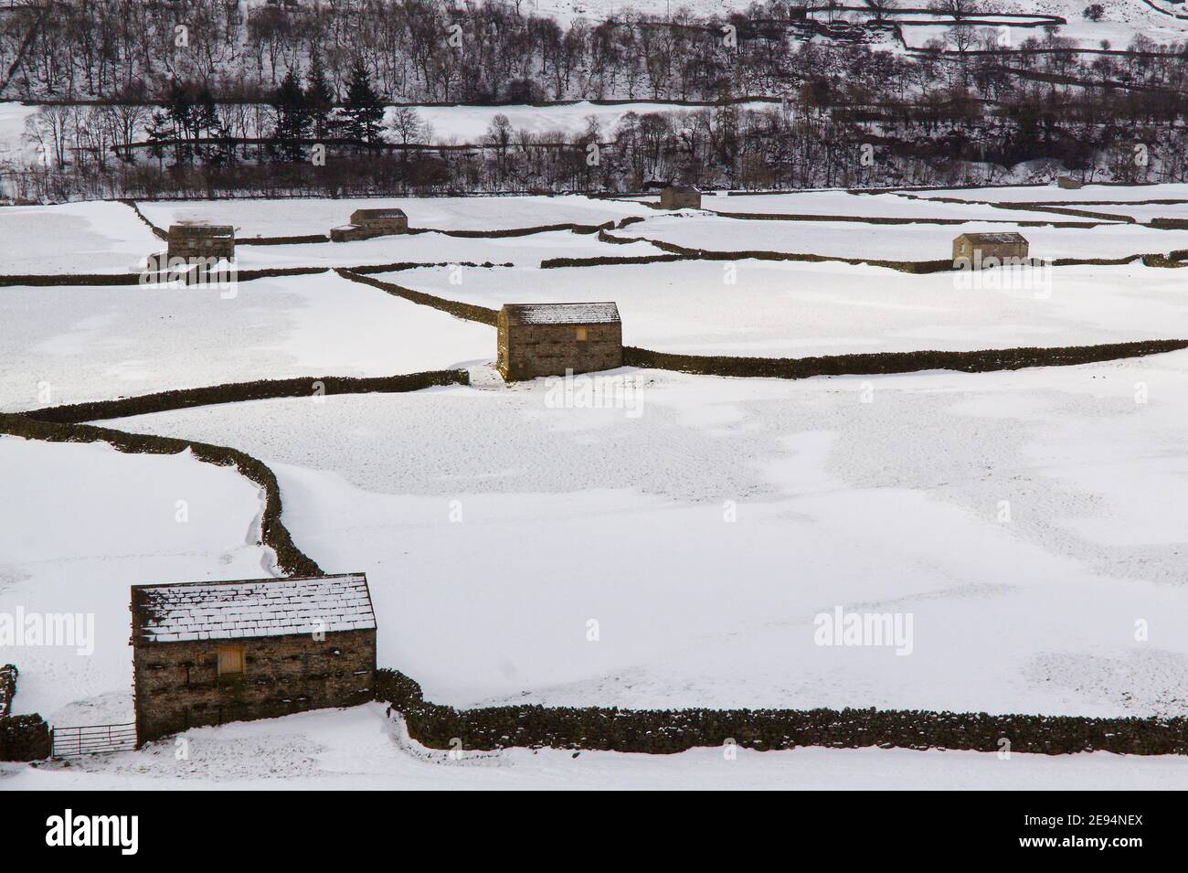 A view of the hay meadows and field barns of Gunnerside, Swaledale ...