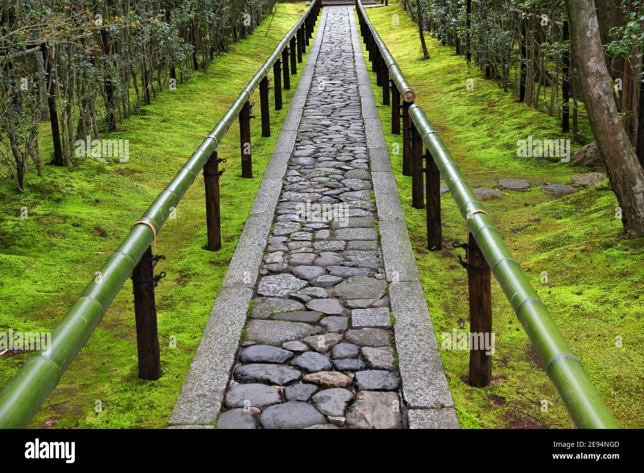 Japanese moss garden in Kyoto, Japan. Kyoto Kita Ward landmark ...