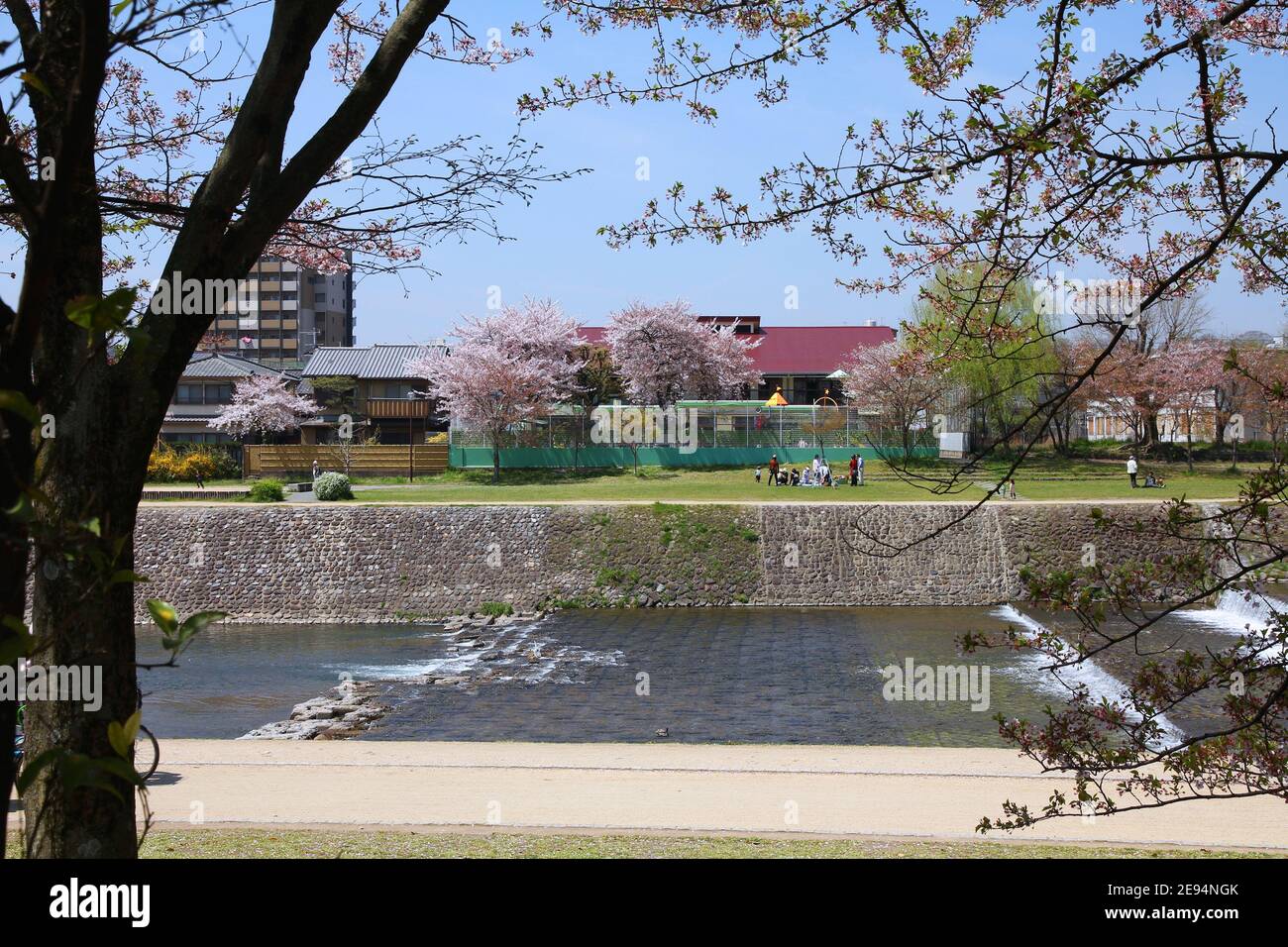 Kamo River park in Kyoto, Japan. Also known as Kamo-gawa Stock Photo ...