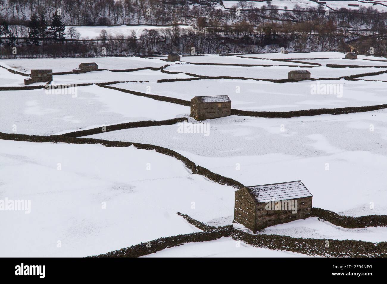 A view of the hay meadows and field barns of Gunnerside, Swaledale ...