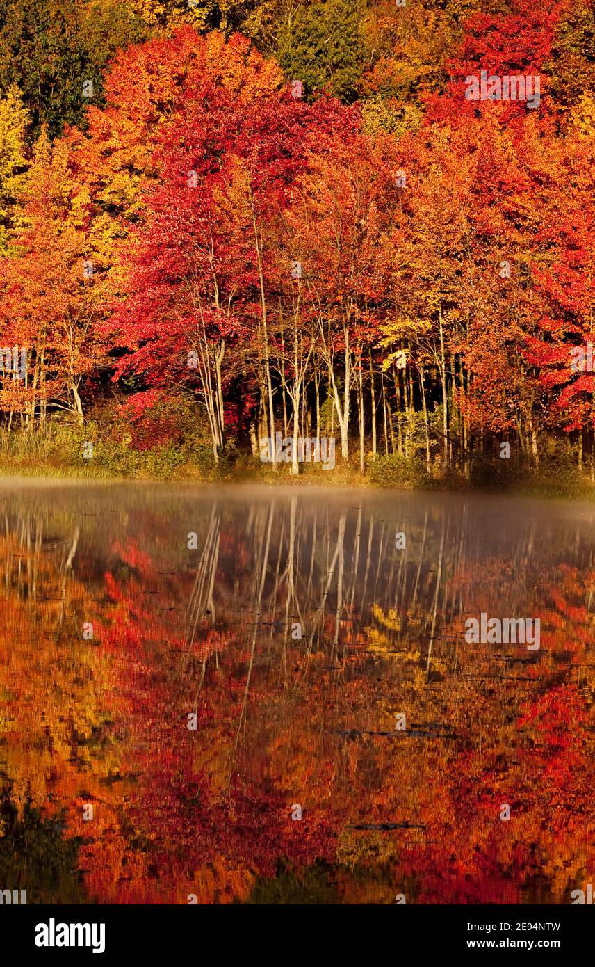 Autumn delaware gap hi-res stock photography and images - Alamy