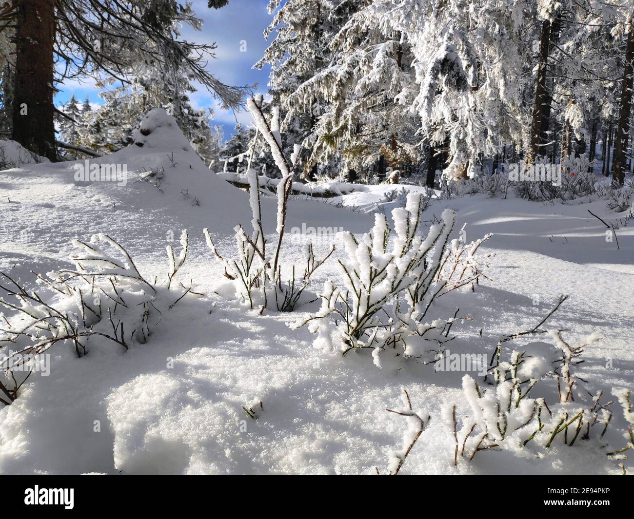 Winter in Poland - Beskidy mountains snowy view. Beskid Zywiecki trail ...
