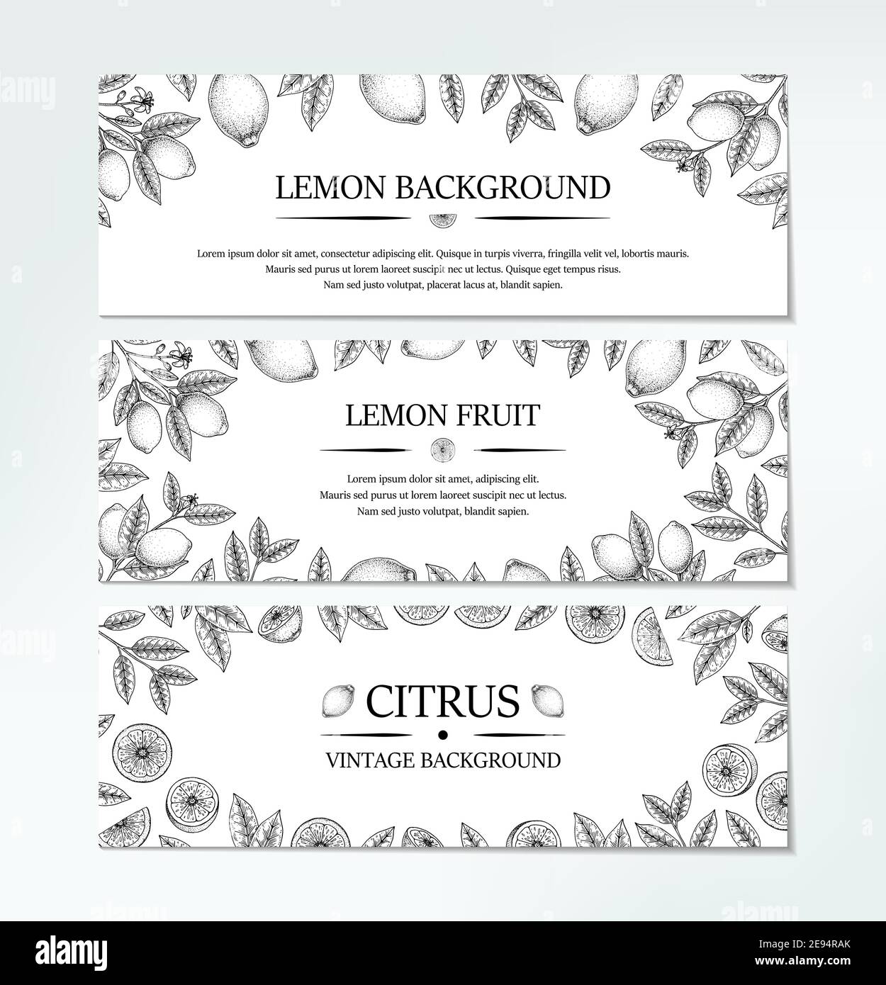 Lime on tree in Stock Vector Images - Alamy