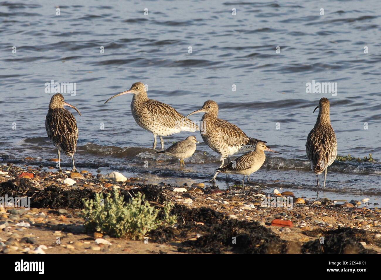 Kilnsea e yorks hi-res stock photography and images - Alamy