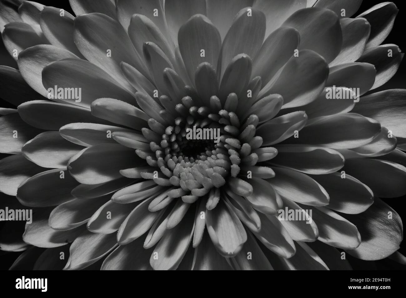 Lovlinesss hi-res stock photography and images - Alamy