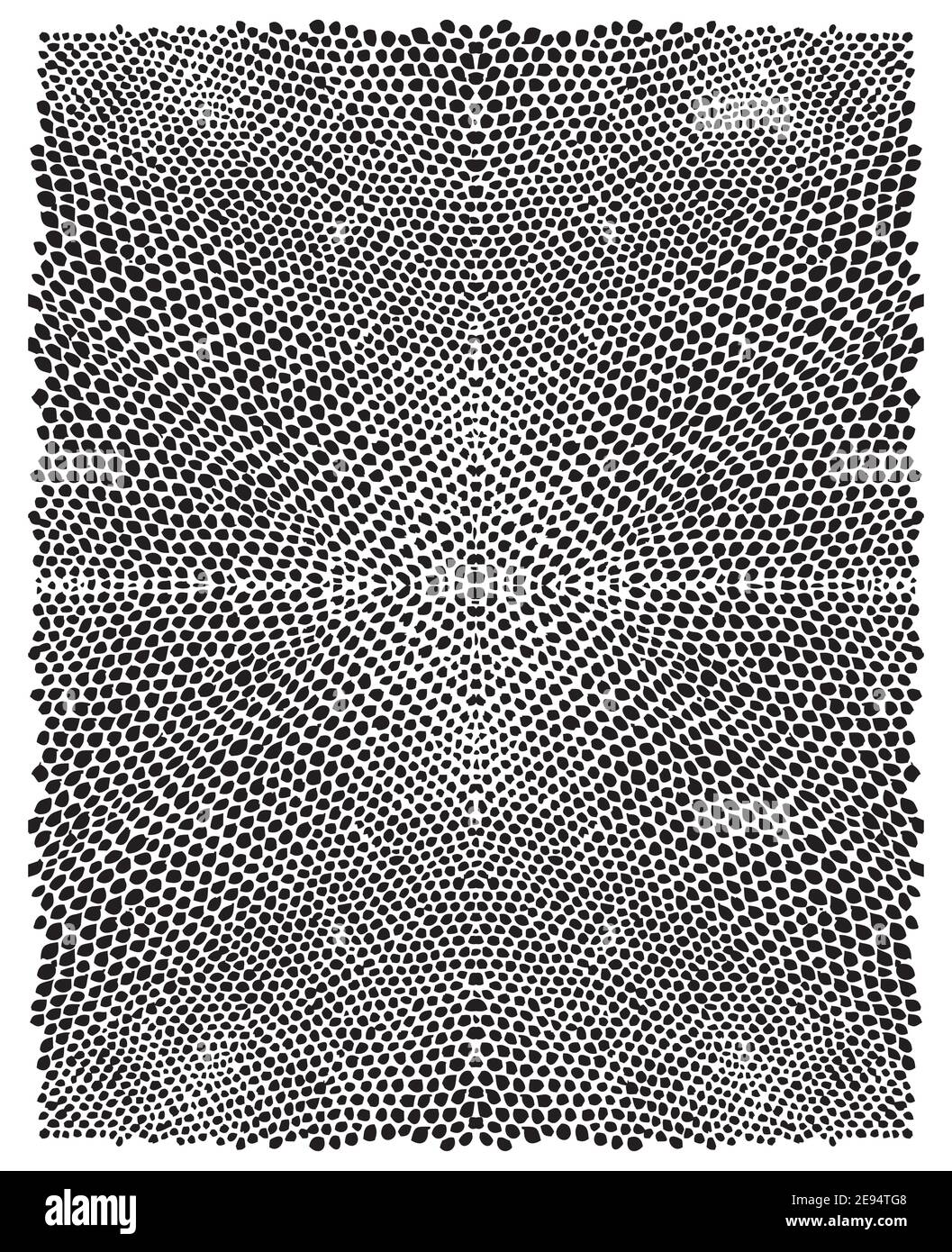 Snakeskin print background Black and White Stock Photos & Images - Alamy